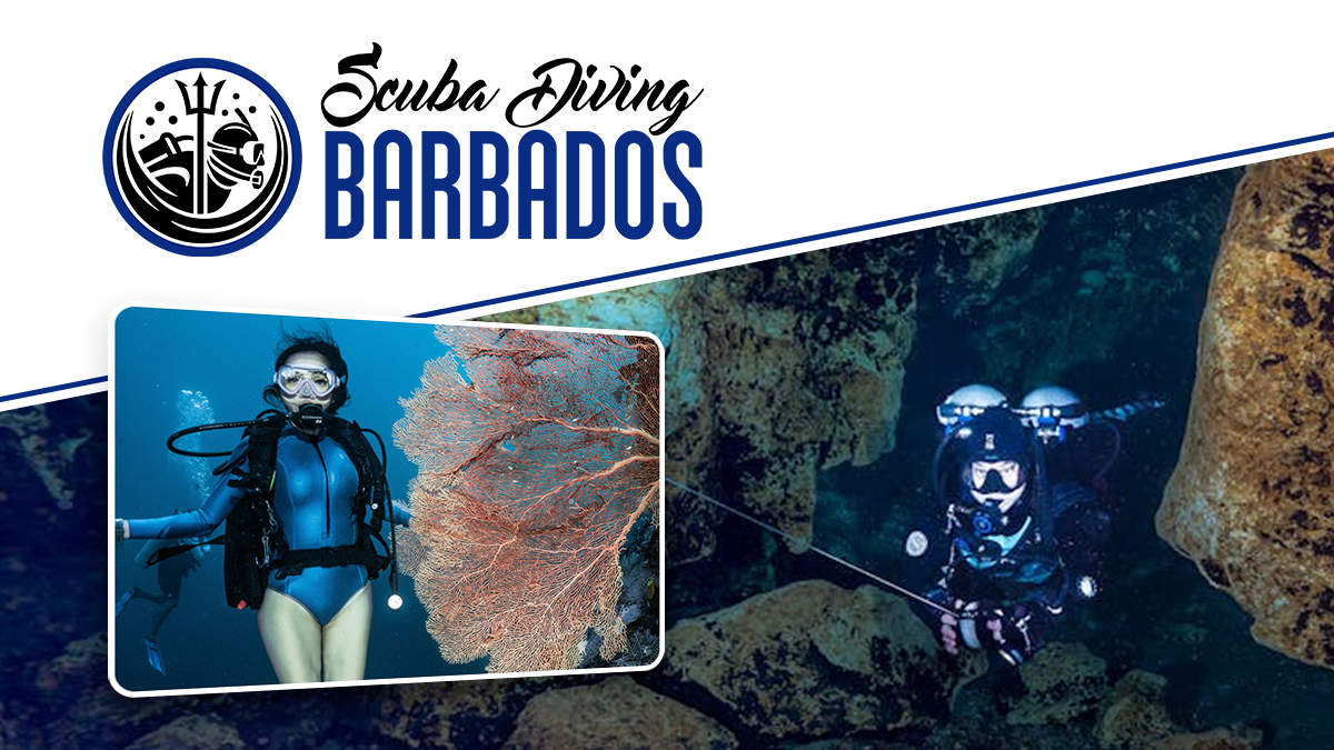 Dive Shops - Scuba Diving Barbados